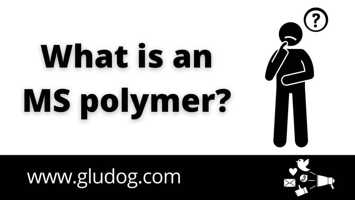 What is an MS Polymer? – Gludog Limited